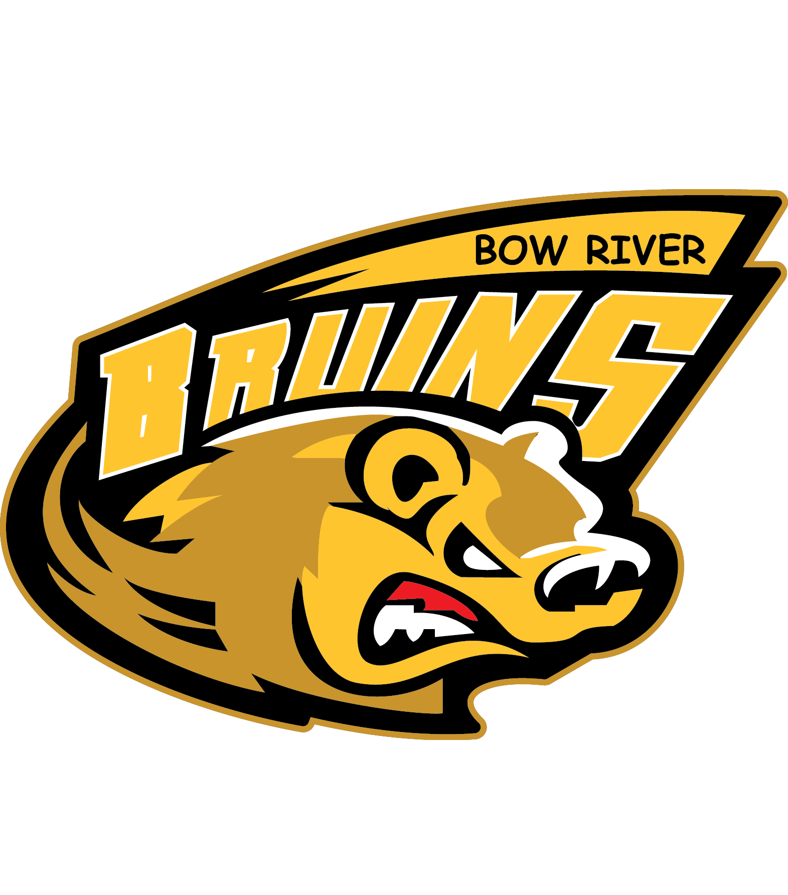 Minor Hockey Coach Resources: Downloads for Hockey Coaches